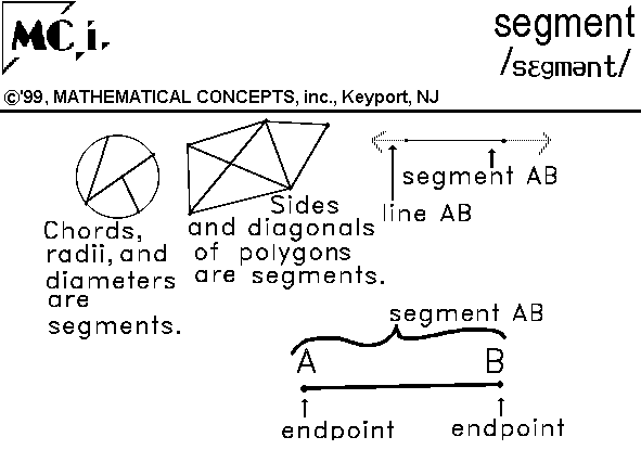segment